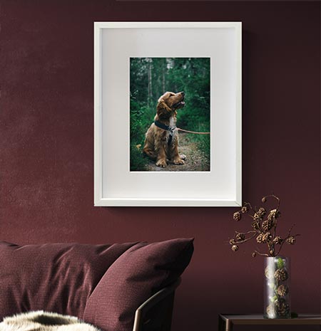 Matted picture frames to frame a photo | Online framing service ...