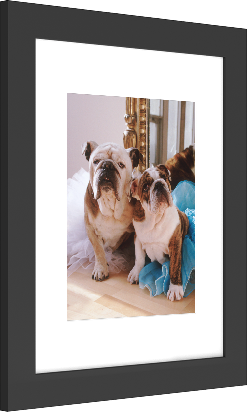 Luxe Wall Black Picture Frame With Wide Mat | Print and Frame Photos ...