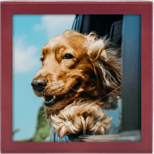 Amity Red Picture Frame | Print and Frame Photos Online – Frameology